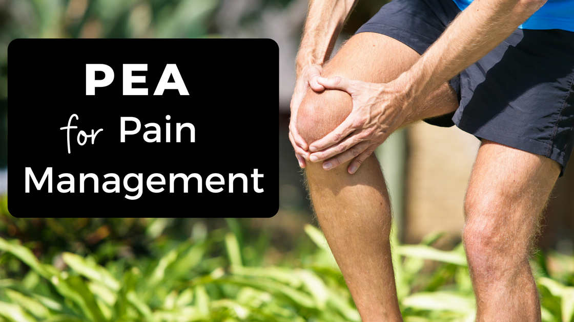 PEA For Pain Management | Go Vita Batemans Bay