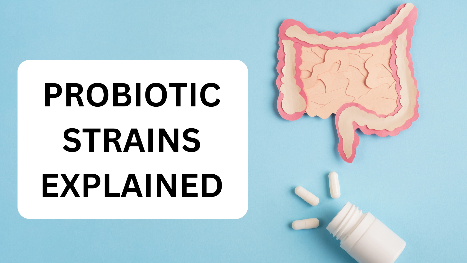 Probiotic Strains Explained | Go Vita Batemans Bay