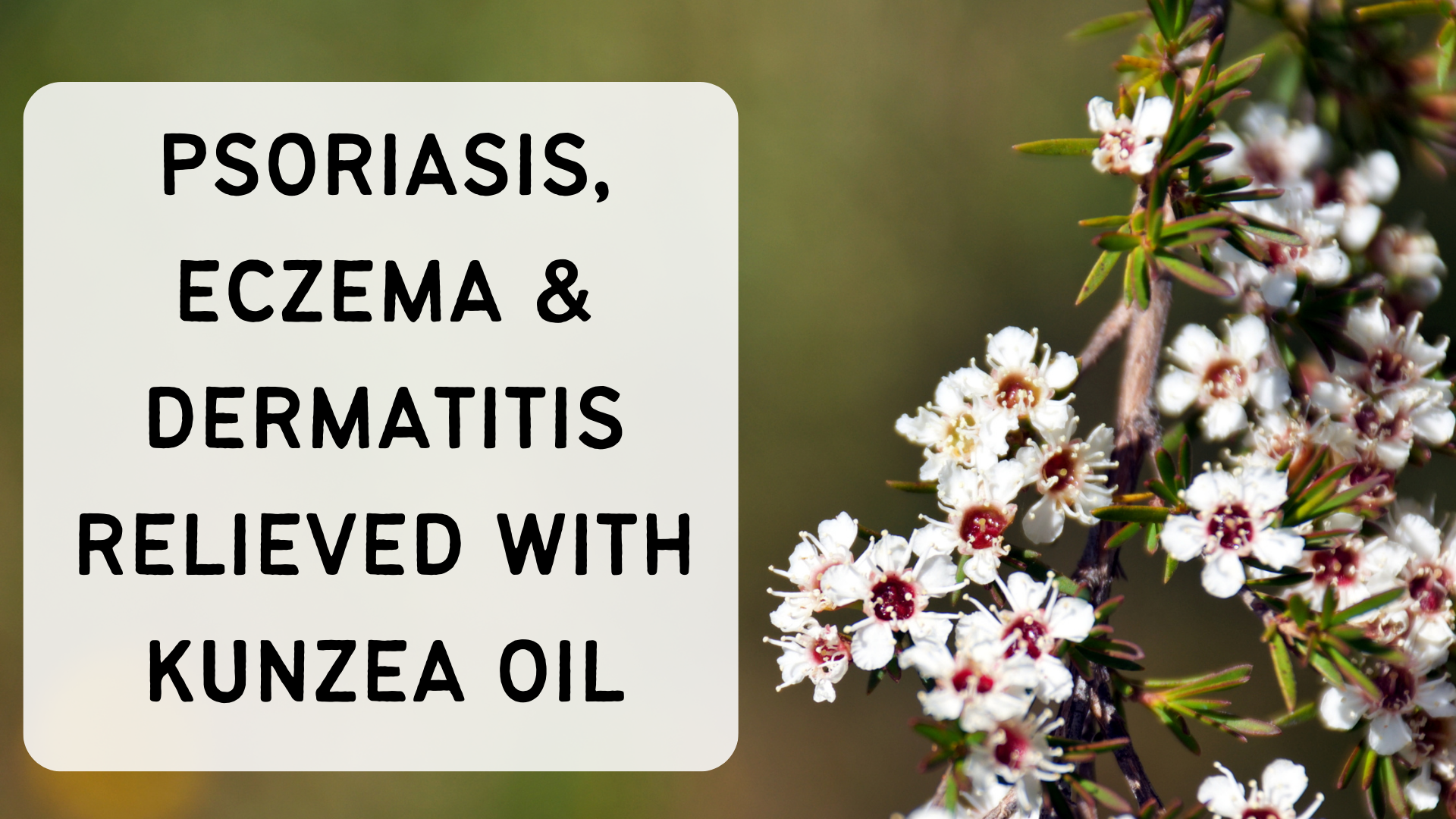 Psoriasis, Eczema & Dermatitis Relieved With Kunzea Oil | Go Vita ...