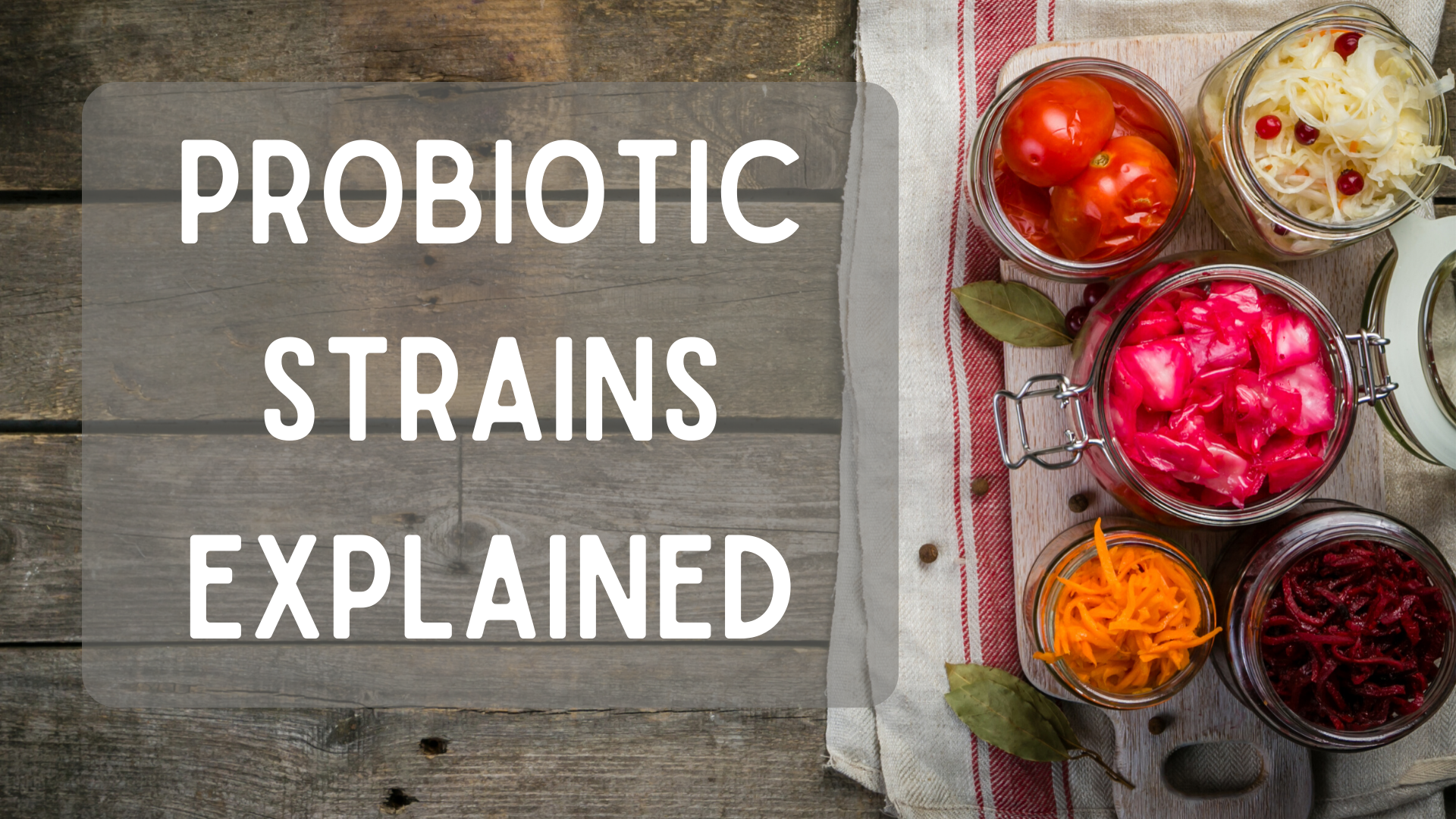 Probiotic Strains Explained | Go Vita Batemans Bay