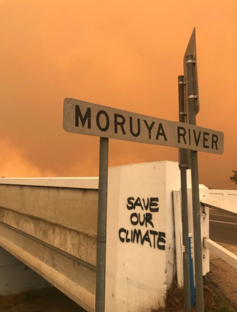 How to Nurture Your Lungs During Smokey Bushfire Season | Go Vita ...