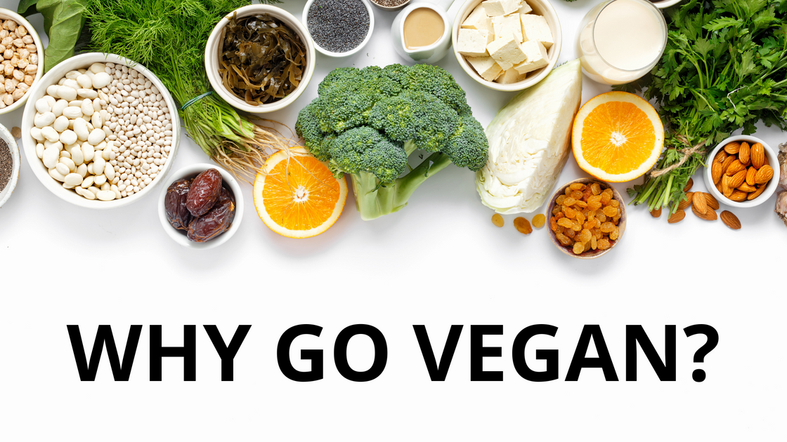 Why Go Vegan? | Go Vita Batemans Bay