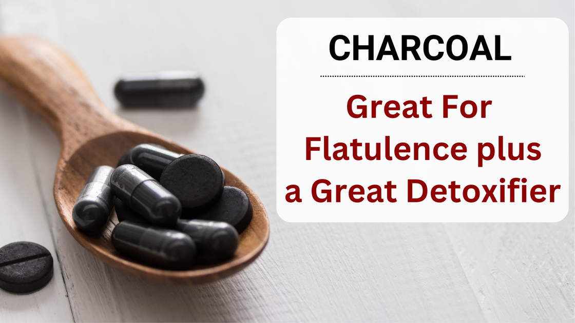 Charcoal- Great For Flatulence Plus A Great Detoxifier | Go Vita ...