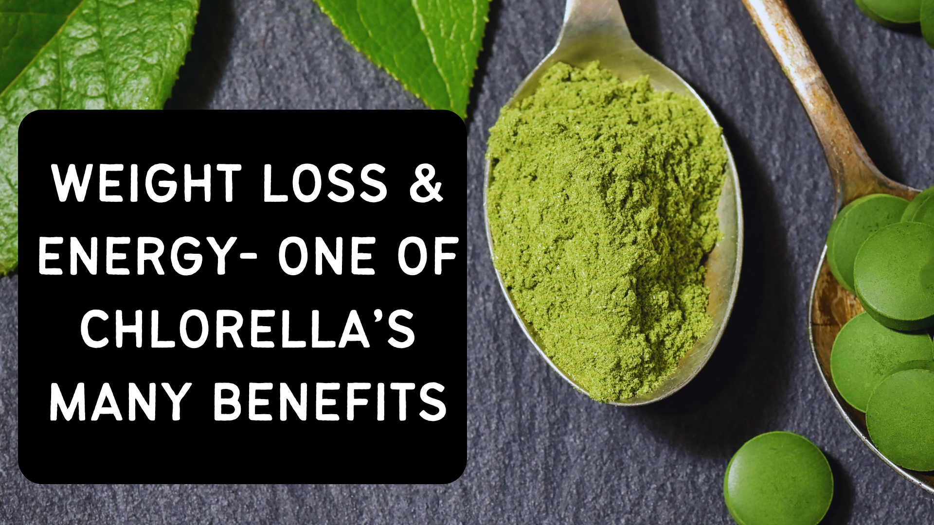 Weight Loss And Energy - One of Chlorella's Many Benefits | Go Vita ...